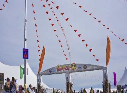 Sunfest Festival | Explore OC